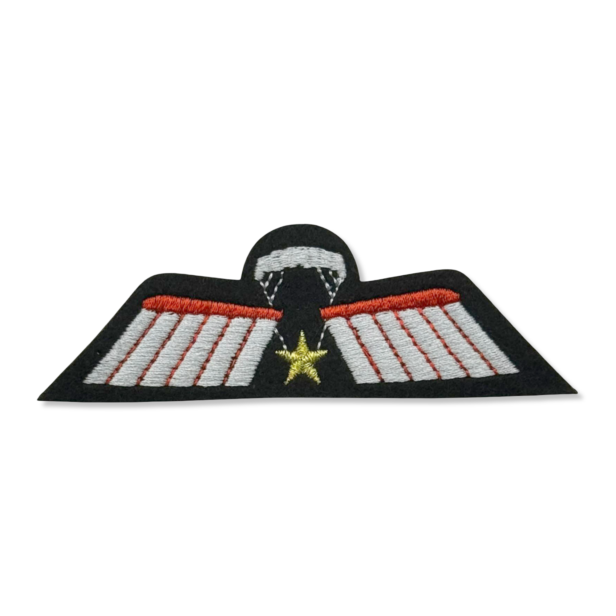 Parawing Brevet C - vrije val- DT